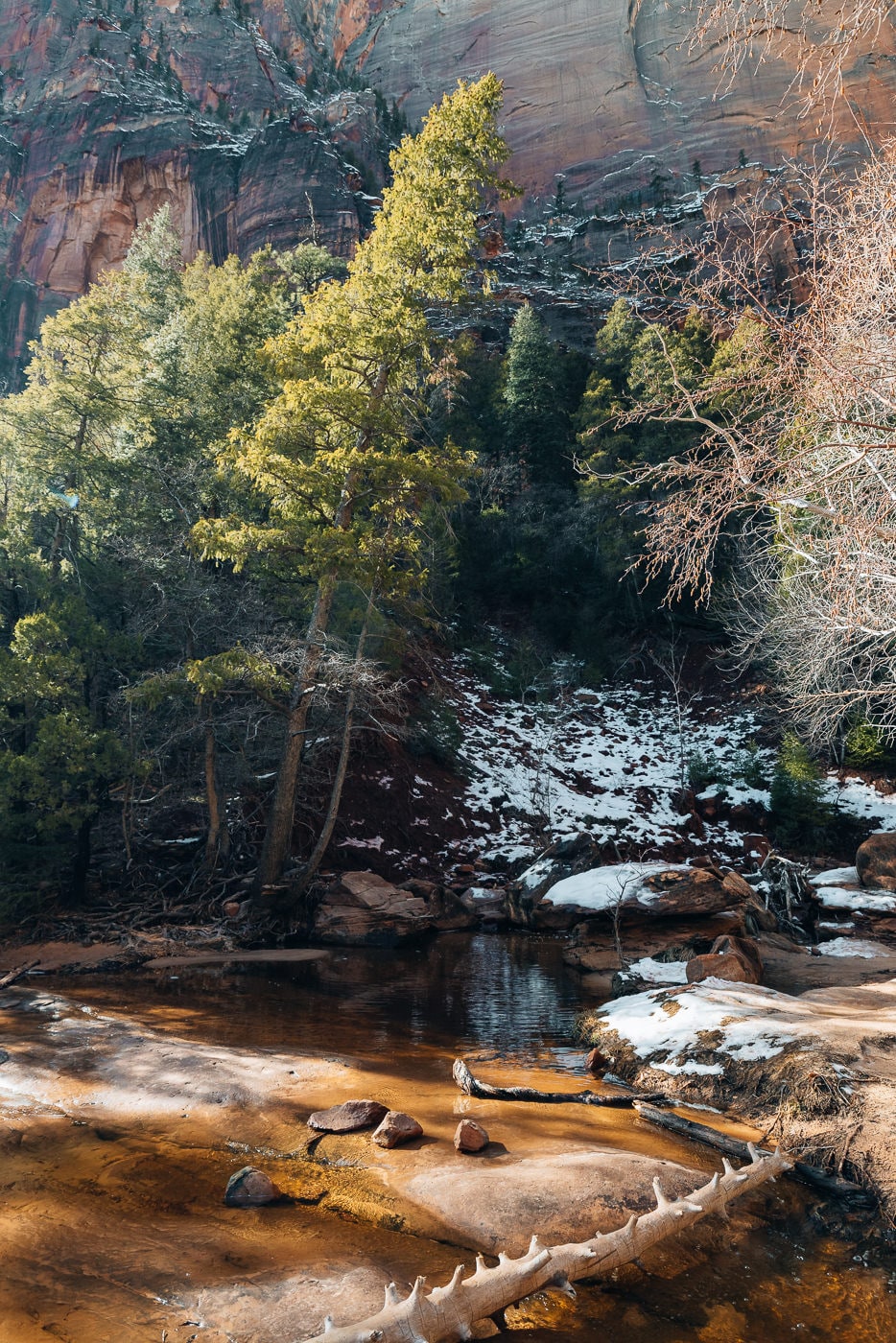 Lower Emerald Pool Trail - Awesome Pools & Waterfall in Zion National ...