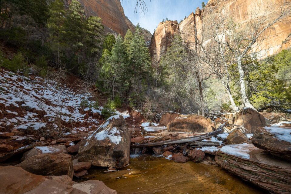Hiking the Lower Emerald Pool Trail in Zion National Park