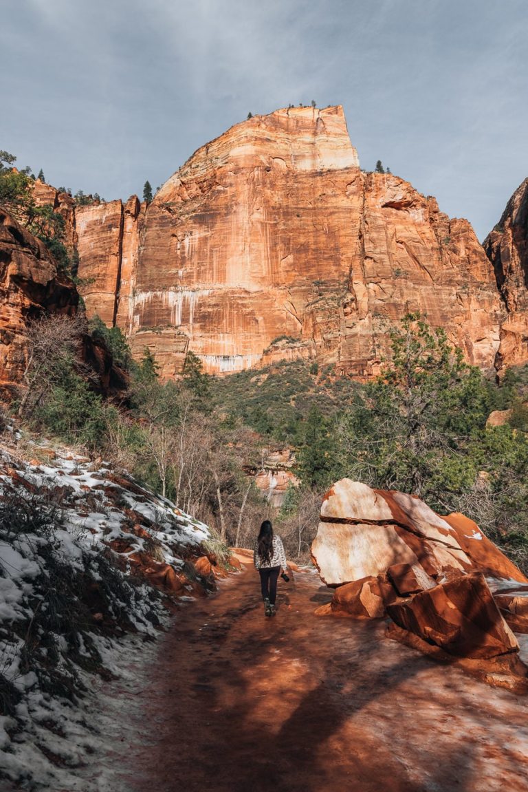Hiking the Lower Emerald Pool Trail in Zion National Park