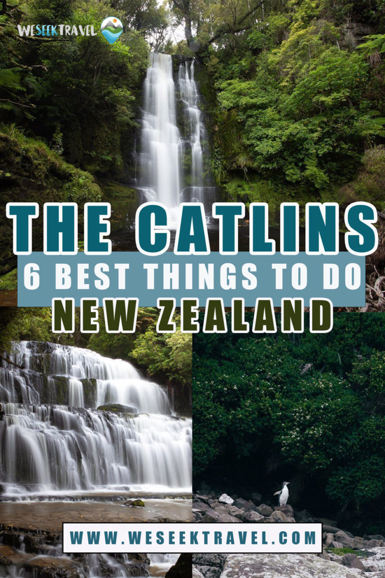 6 Top Things to Do in the Catlins on a New Zealand Road Trip