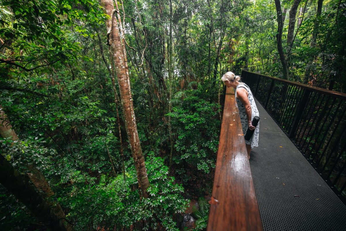 How to Visit Barron Falls From Cairns: Complete Guide