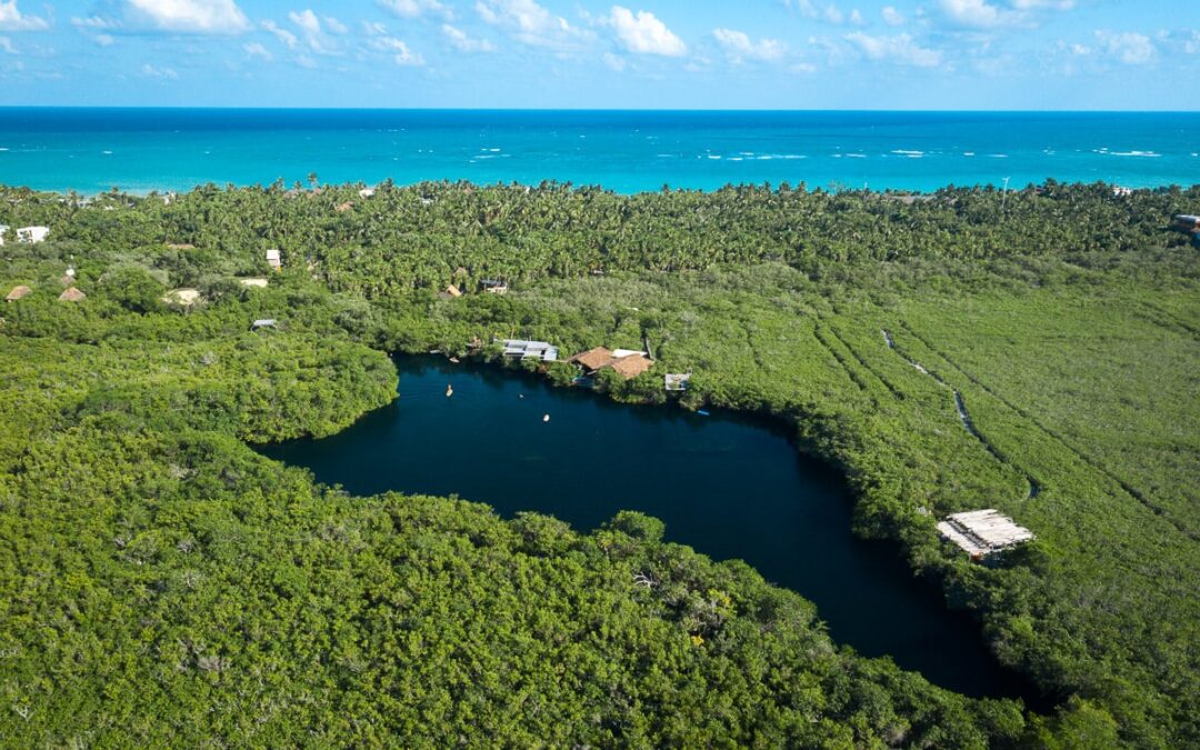 How to Visit Ven a la Luz (Raw Love): Sculpture in Tulum