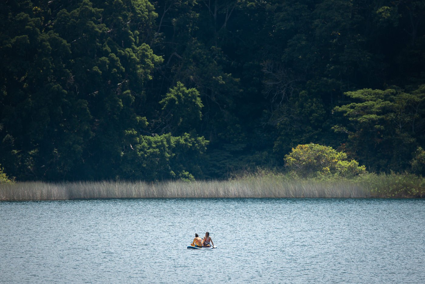 Lake Eacham Visitors Guide - Crater Lakes National Park, Queensland ...