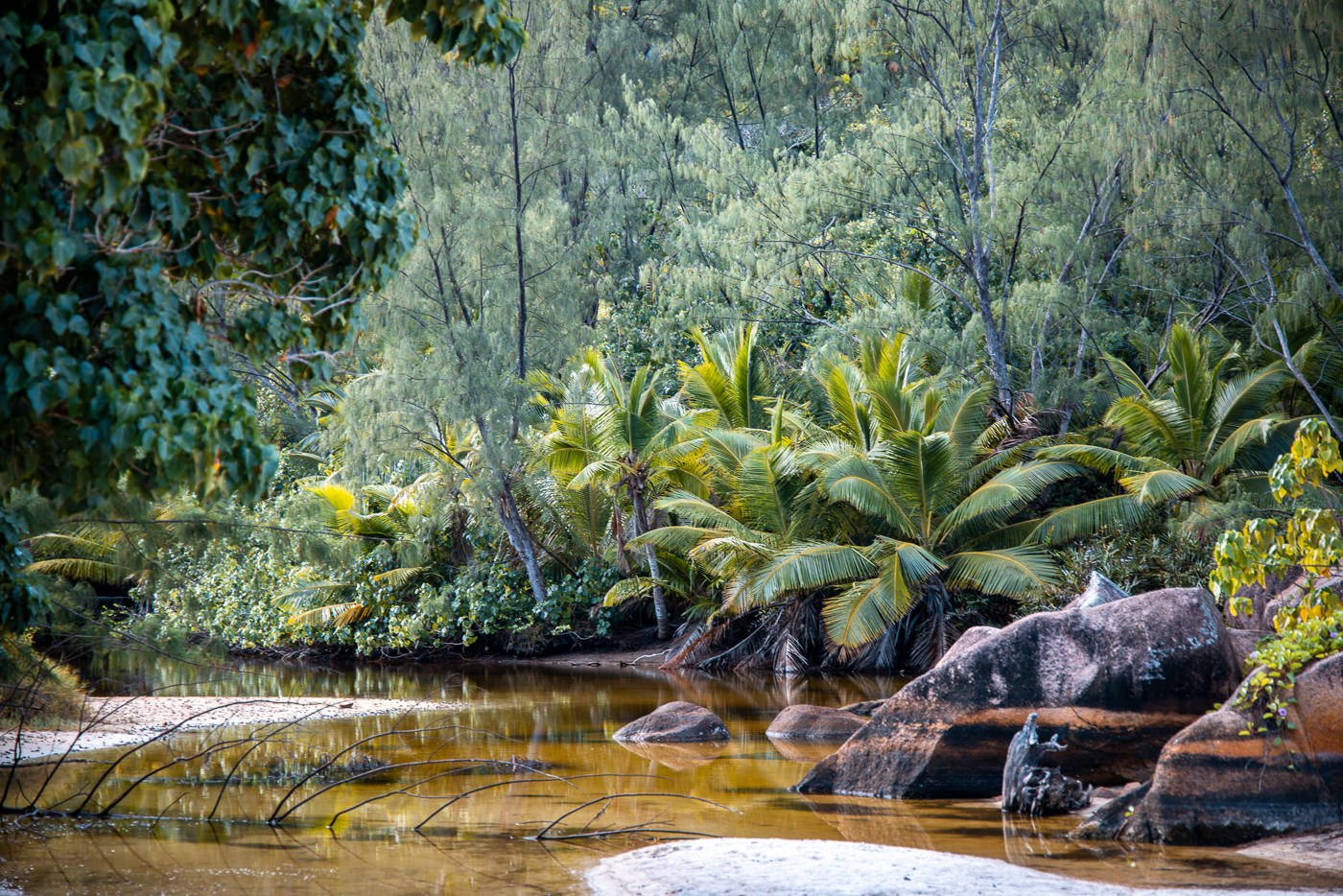 15 Awesome Seychelles Hikes and Nature Trails – We Seek Travel Blog