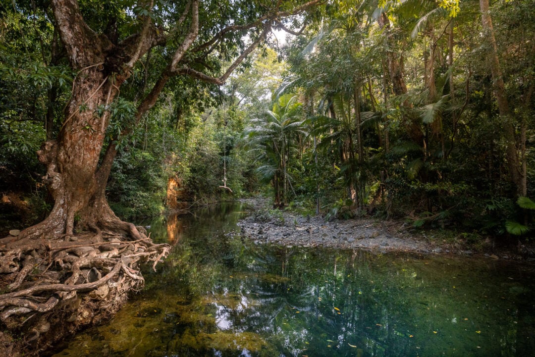 60 Best Things to Do in Cairns For Your First Trip