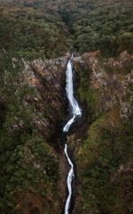 Windin Falls - 2023 Waterfall & Hiking Guide (Cairns/Tablelands) – We ...
