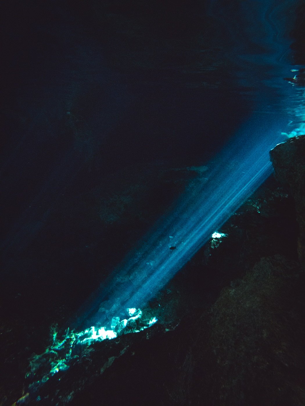 20 Best Cenotes in Tulum, Mexico: Swimming, Snorkeling, & Scuba Diving ...