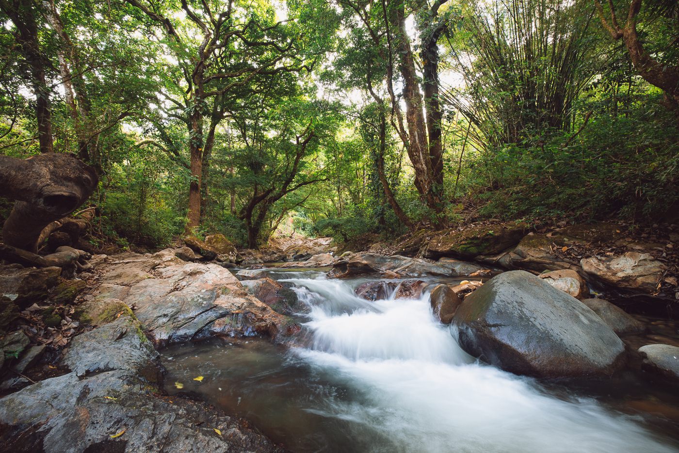 Pozo Azul in Minca - Everything You Need to Know (Colombia) – We Seek ...