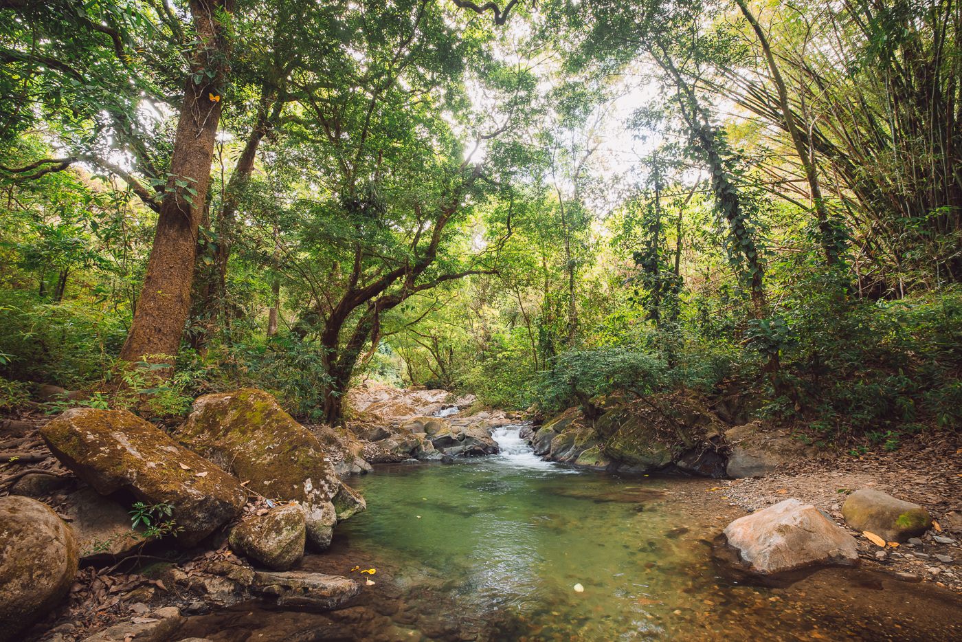 Pozo Azul in Minca - Everything You Need to Know (Colombia) – We Seek ...