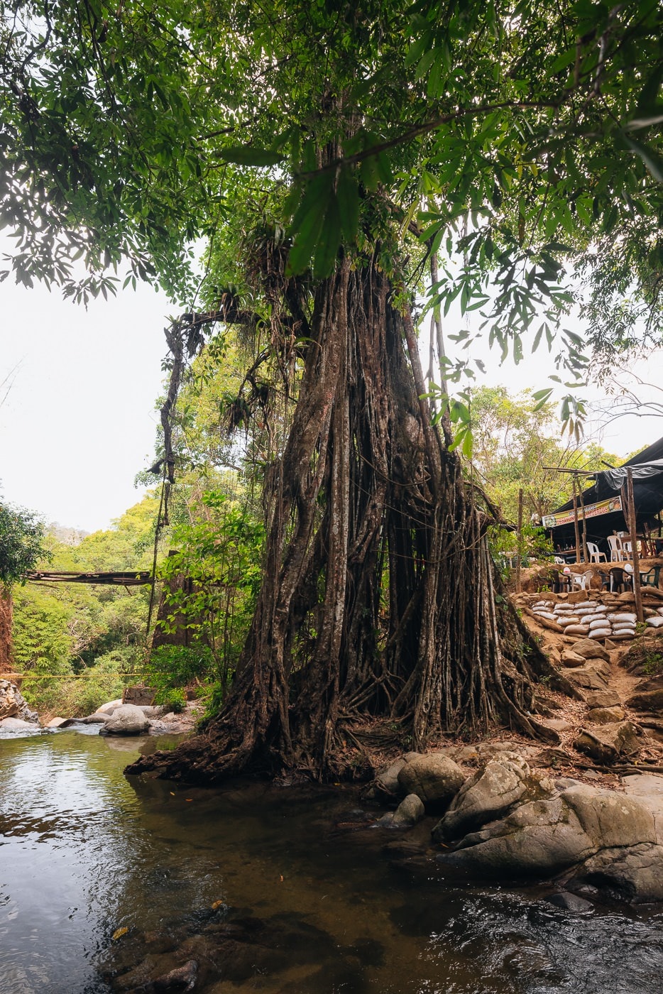 Pozo Azul in Minca - Everything You Need to Know (Colombia) – We Seek ...