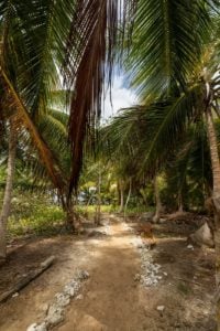 How to Get to Haynes Cay & El Acuario San Andres (Rose Cay) - Colombia ...