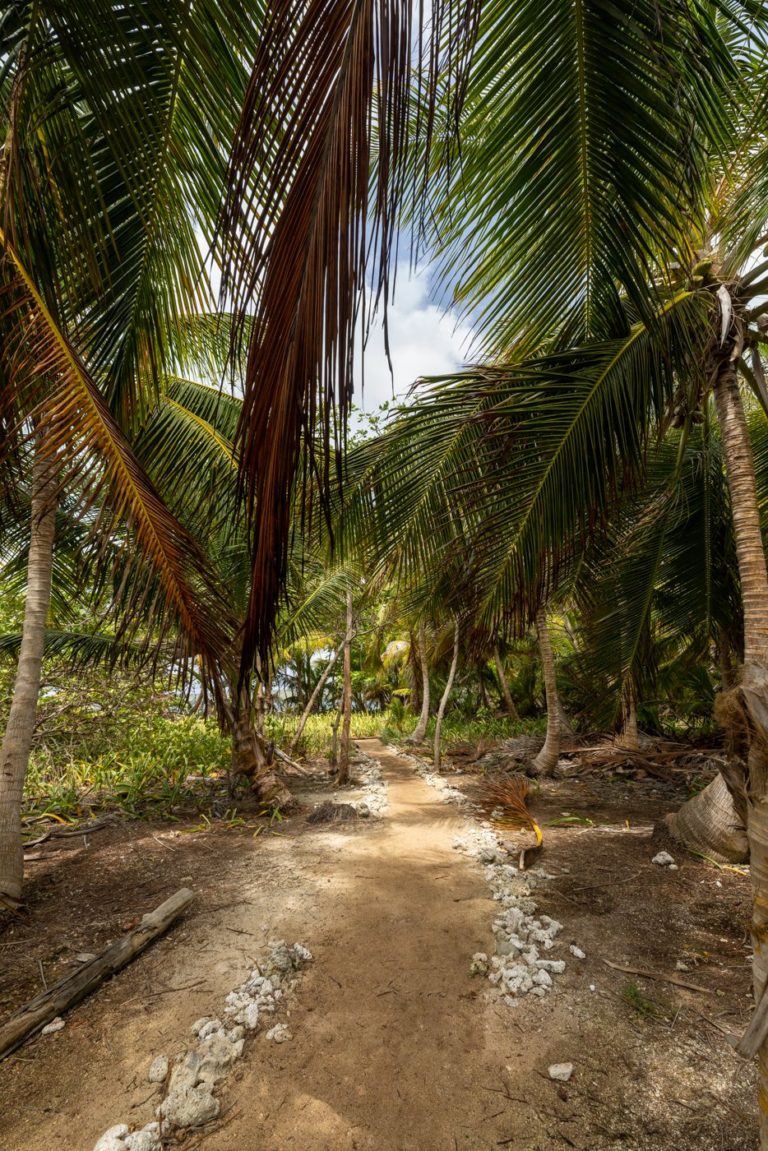 How to Get to Haynes Cay & El Acuario San Andres (Rose Cay) - Colombia ...