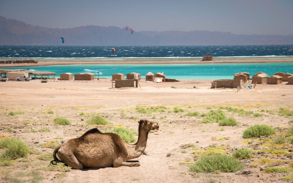 How to Visit the Red Sea's Blue Hole in Dahab