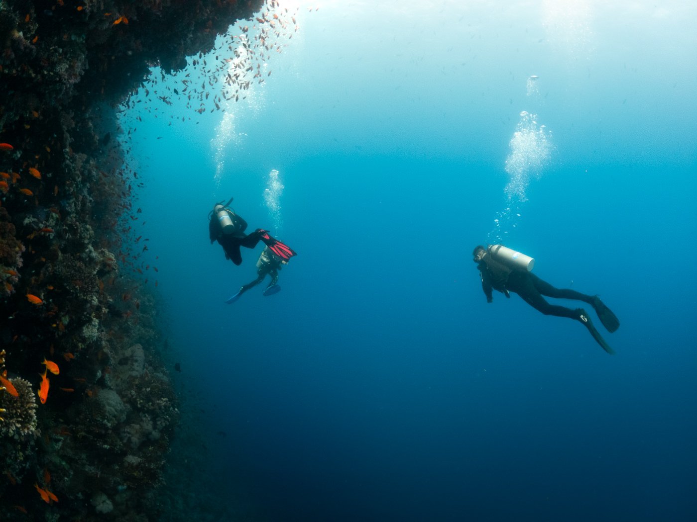 Blue Hole Dahab - Everything You Need to Know (2023) – We Seek Travel
