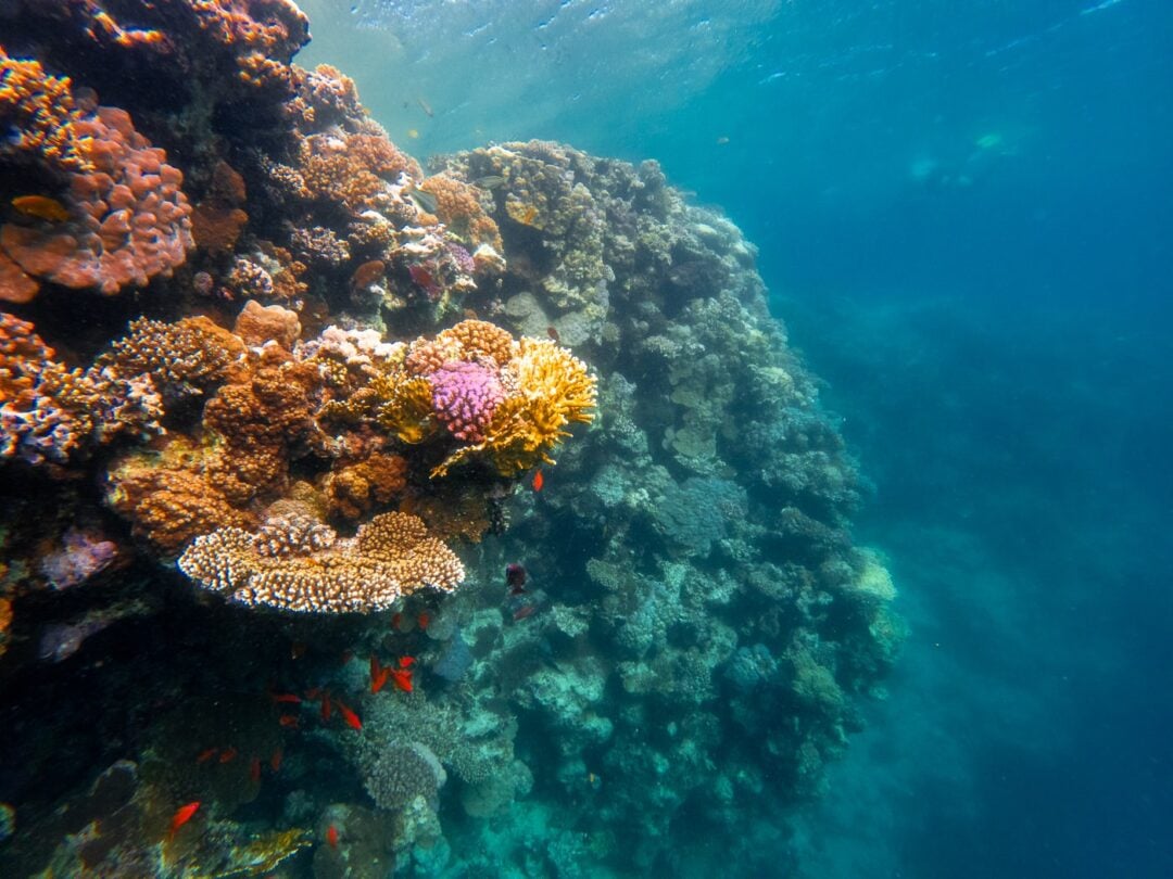 How to Visit the Red Sea's Blue Hole in Dahab