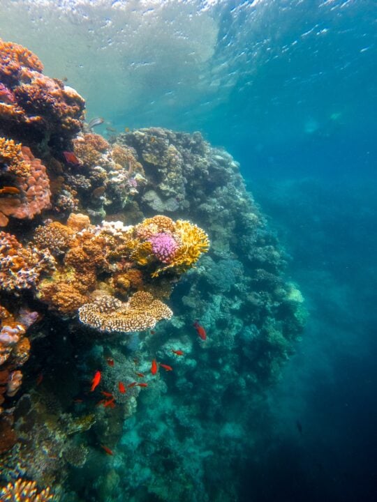 How to Visit the Red Sea's Blue Hole in Dahab