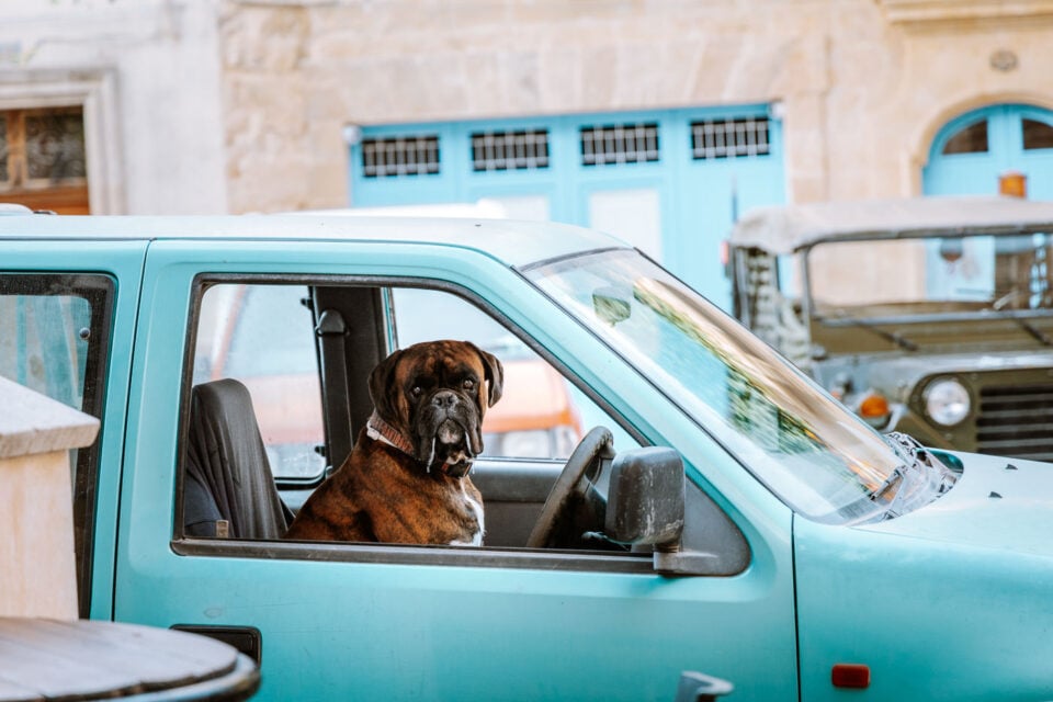 Visiting the Citadel (Ċittadella) in Gozo: Complete Guide