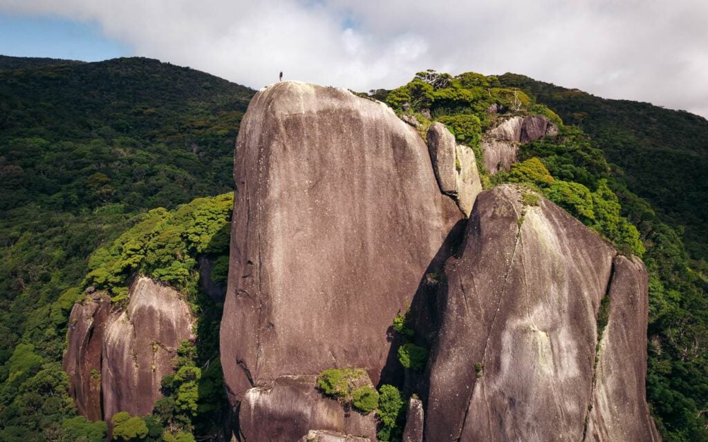38 Epic Cairns Hikes & Walking Trails: Complete Guide
