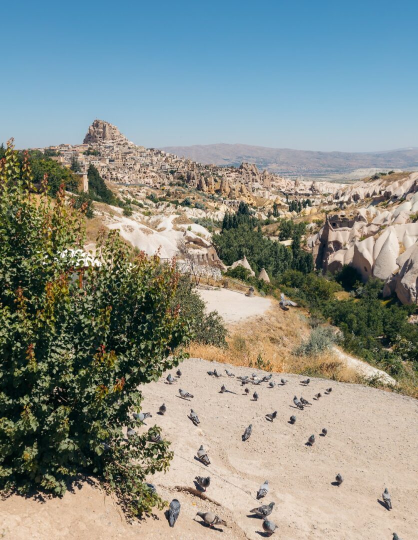 How to Visit Pigeon Valley in Cappadocia: Complete Guide