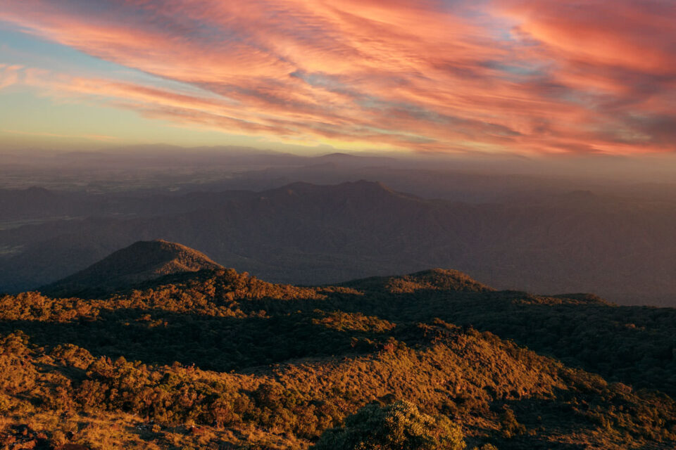 Climbing Mount Bartle Frere: Queensland's Tallest Mountain