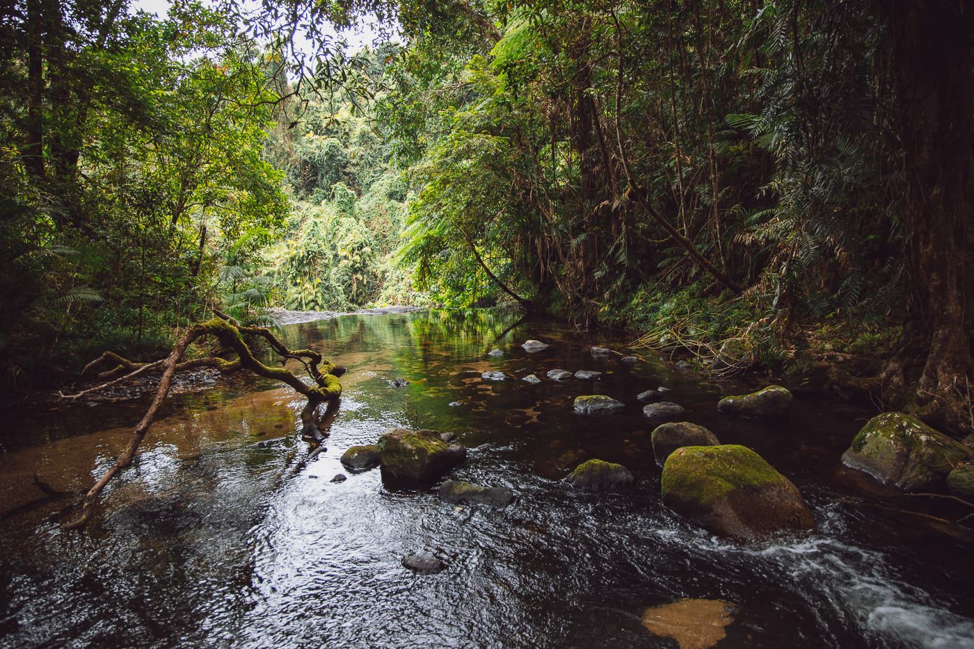Wankaroo Falls Hike in Wooroonooran National Park – We Seek Travel Blog