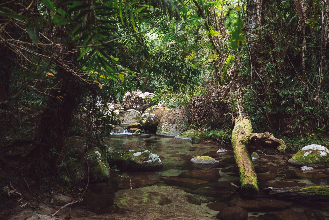 Wankaroo Falls Hike in Wooroonooran National Park – We Seek Travel Blog