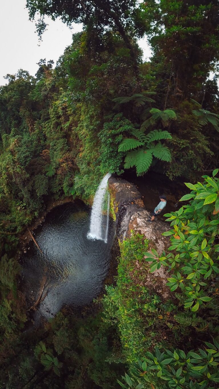 Wankaroo Falls Hike in Wooroonooran National Park – We Seek Travel