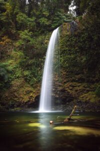 Hiking to Wankaroo Falls in Wooroonooran National Park