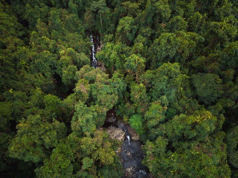 Wankaroo Falls Hike in Wooroonooran National Park – We Seek Travel