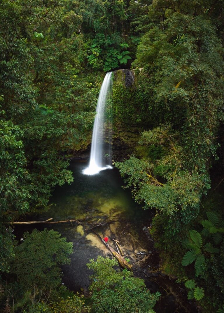 Wankaroo Falls Hike in Wooroonooran National Park – We Seek Travel