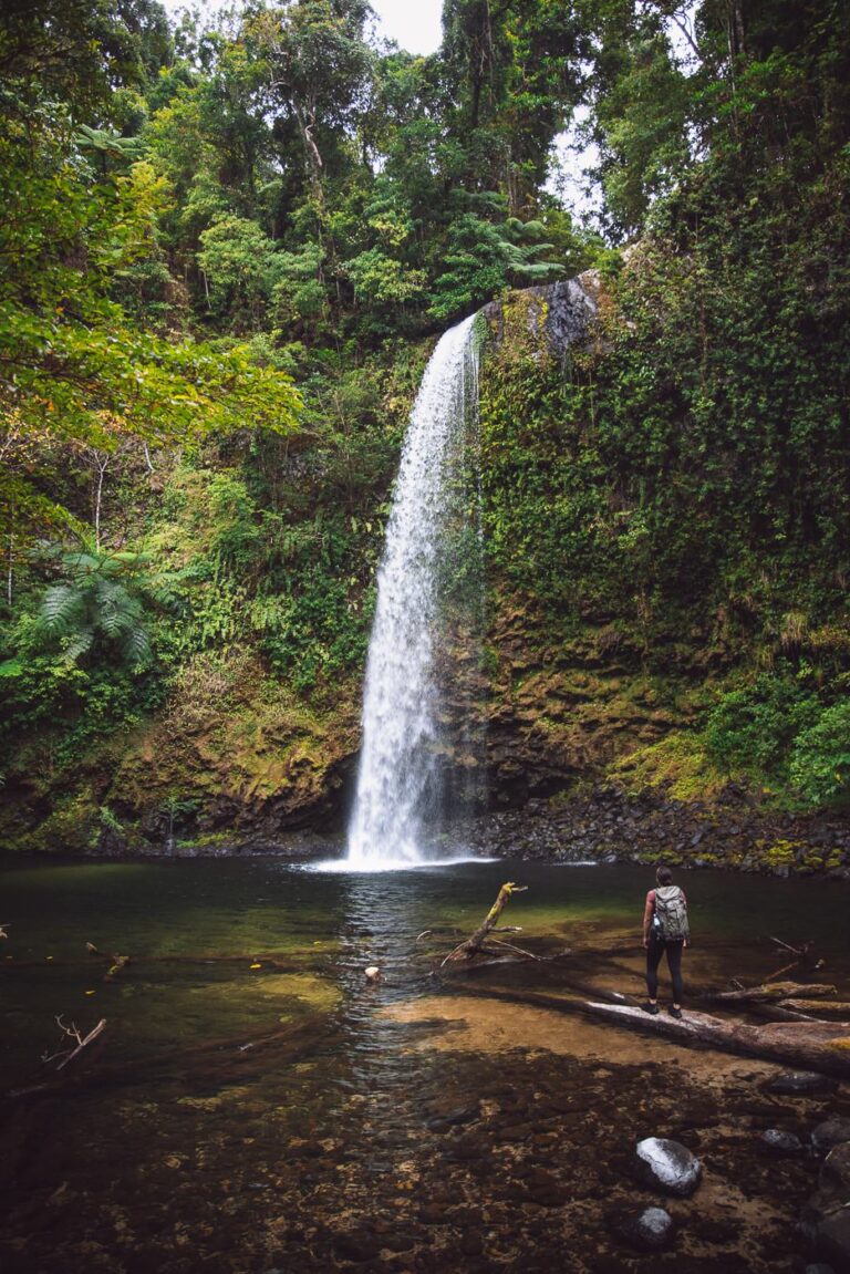 Wankaroo Falls Hike in Wooroonooran National Park – We Seek Travel