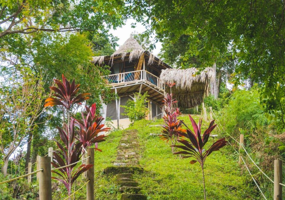 Where to Stay in Minca: Hotels & Fincas for All Budgets