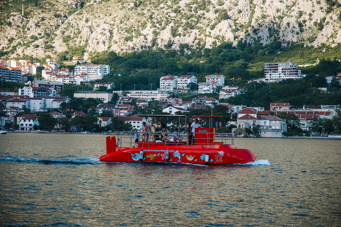 9 Best Kotor Tours & Excursions You Can't Miss in Montenegro