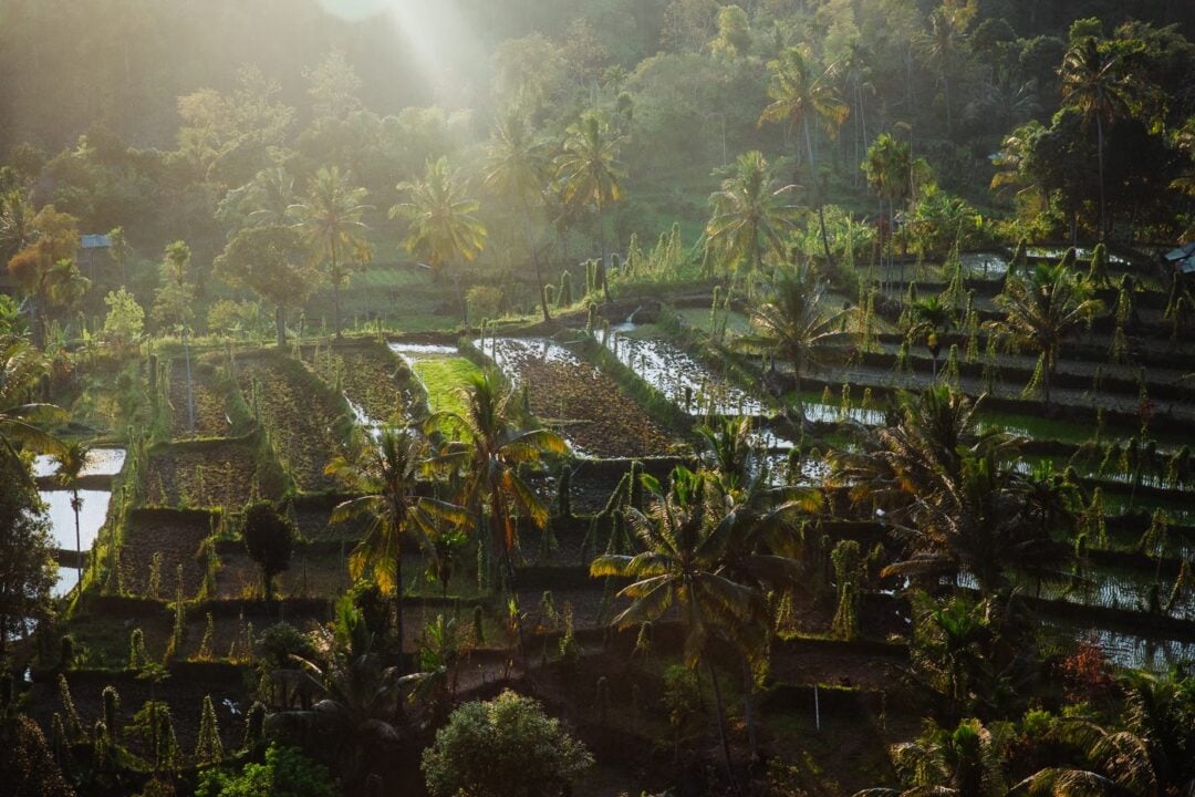 50 Amazing Things to Do on Lombok Indonesia: Travel Guide