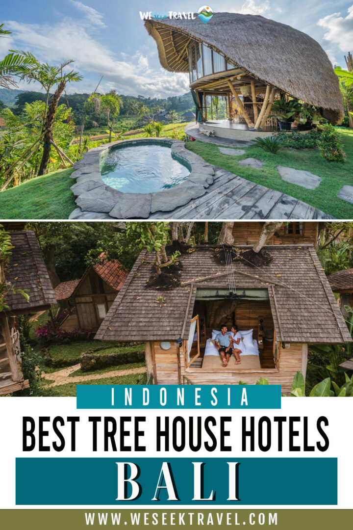 5 Incredible Tree Houses in Bali for a Unique Stay