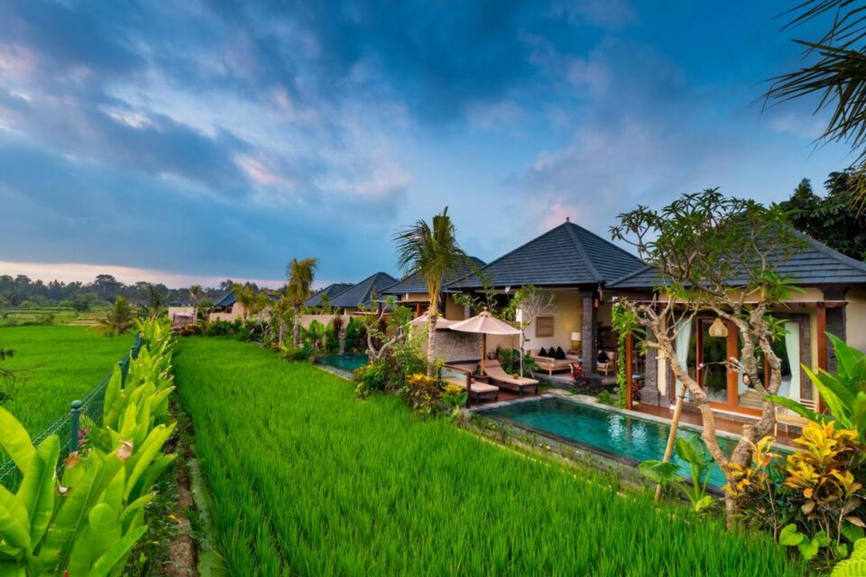 Where to Stay in Ubud, Bali: My Favorite Hotels & Resorts