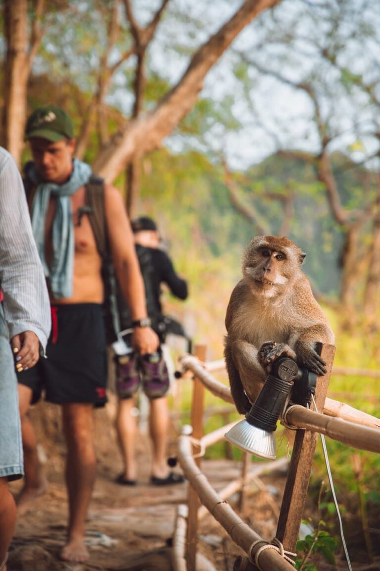 Monkey Trail Ao Nang - Hike to Pai Plong Beach, Krabi – We Seek Travel