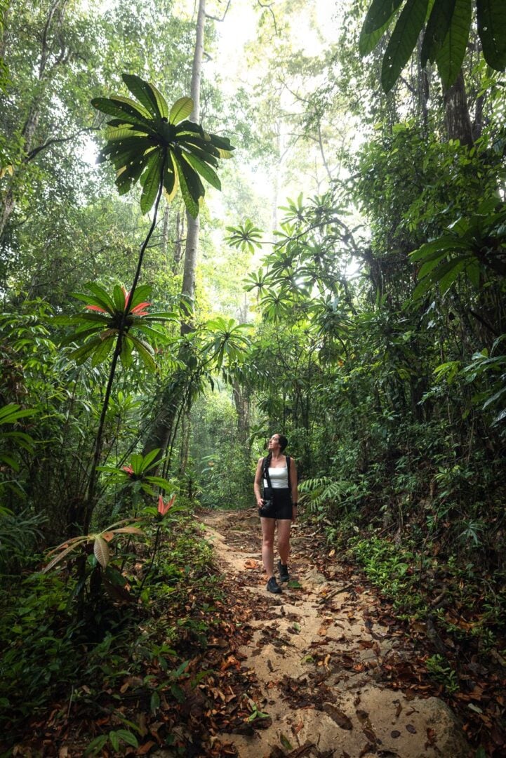 Dragon Crest Mountain Hike: Khao Ngon Nak Viewpoint, Krabi