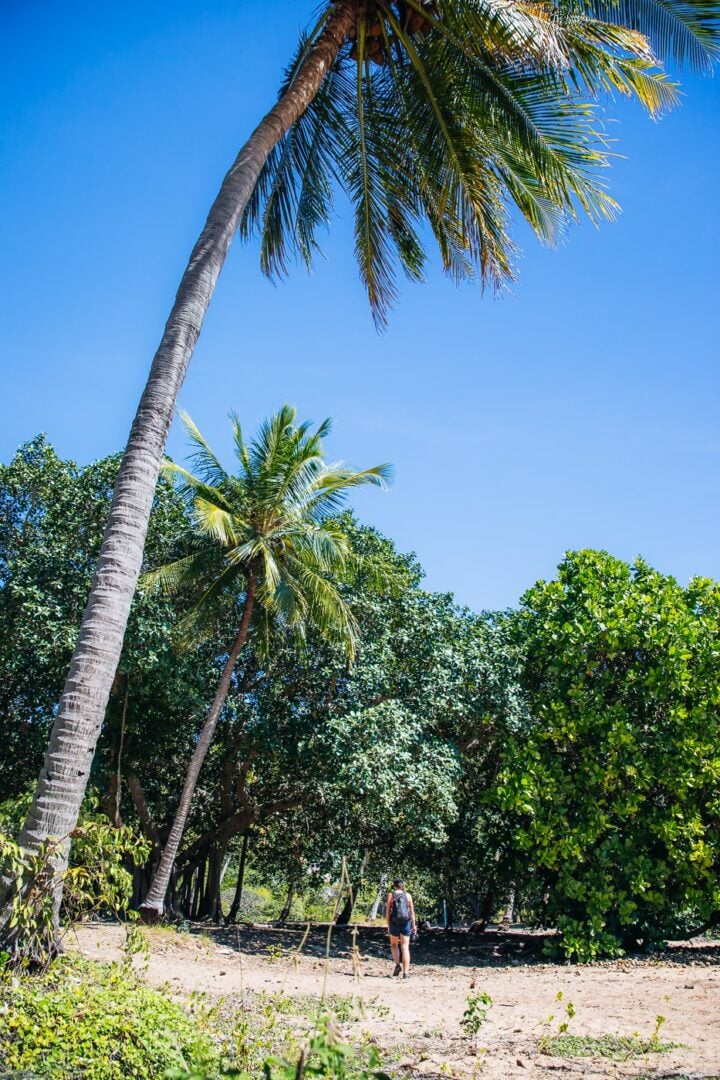 Alma Bay Magnetic Island: Complete Travel Guide
