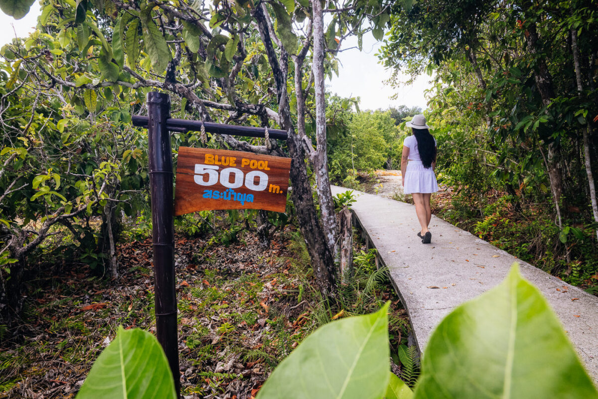 Emerald Pool Krabi: Guide to the Emerald & Blue Lagoon