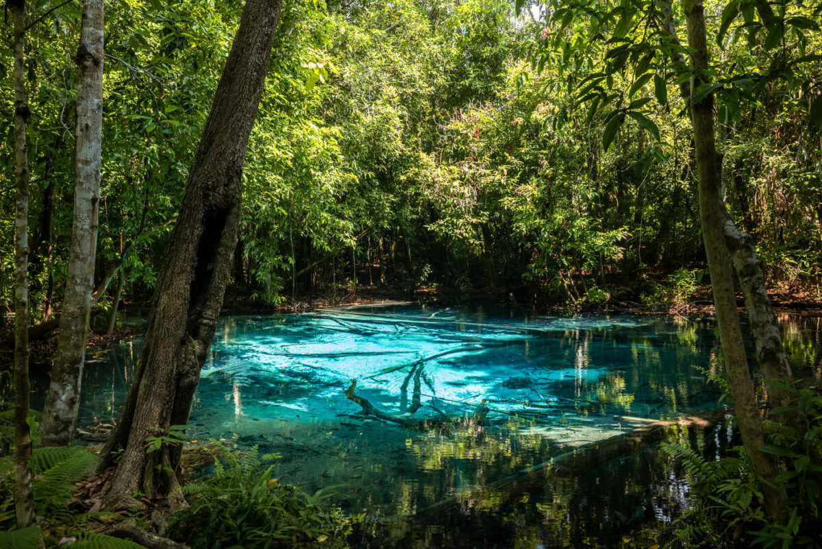 Emerald Pool Krabi: Guide to the Emerald & Blue Lagoon – We Seek Travel