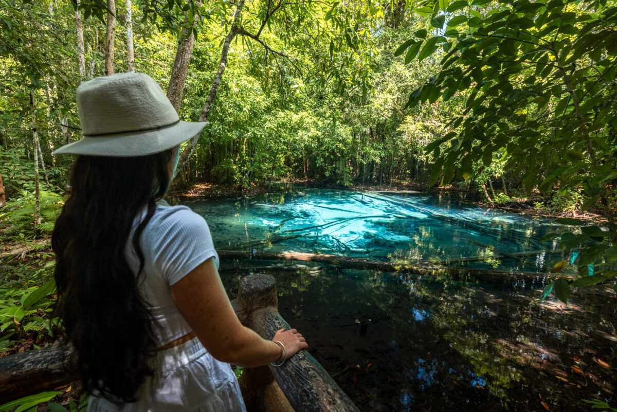 Emerald Pool Krabi: Guide to the Emerald & Blue Lagoon – We Seek Travel