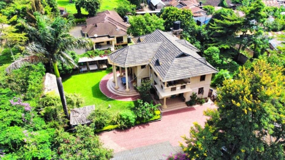 Guide to Climbing the Lemosho Route on Mount Kilimanjaro