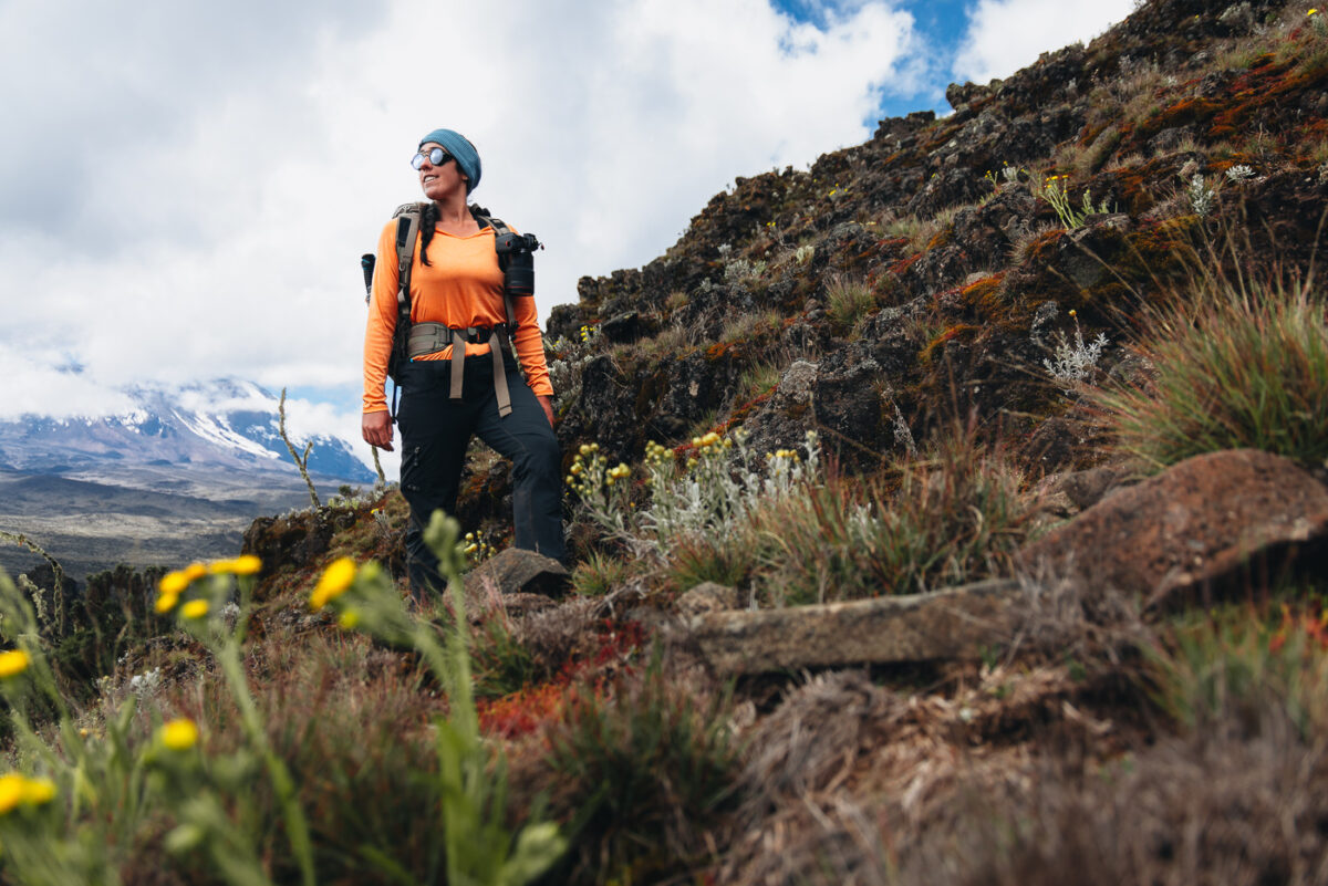 First-Timers Guide to Climbing the Lemosho Route on Mount Kilimanjaro ...