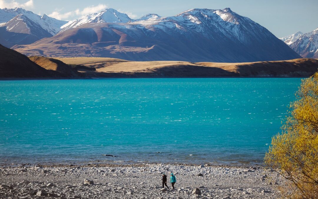 7 Best Tekapo Lake Hotels for All Travel Styles & Budgets