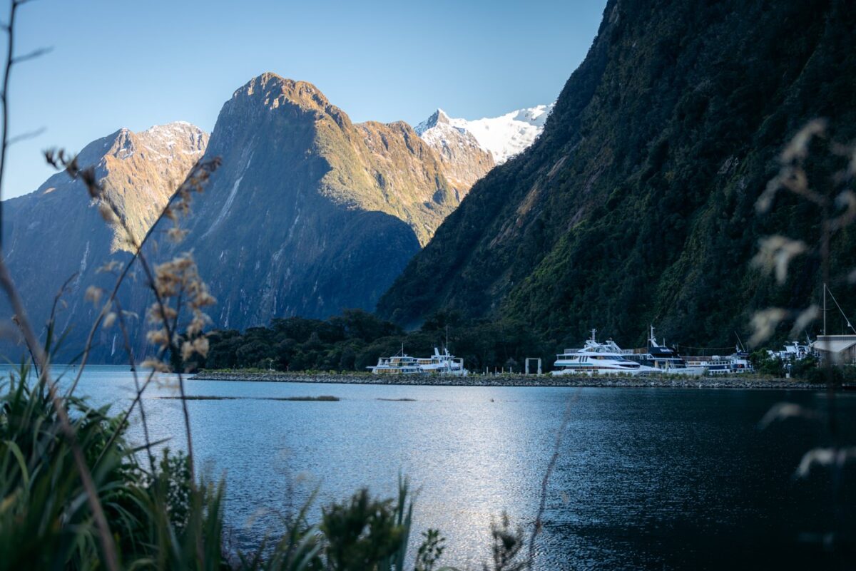 21 Fun Things To Do at Milford Sound on Your First Visit