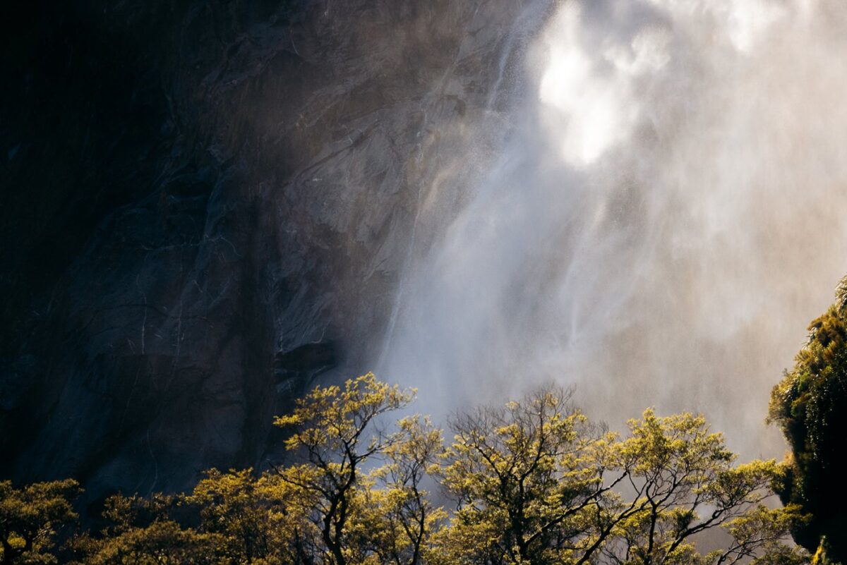21 Fun Things To Do at Milford Sound on Your First Visit