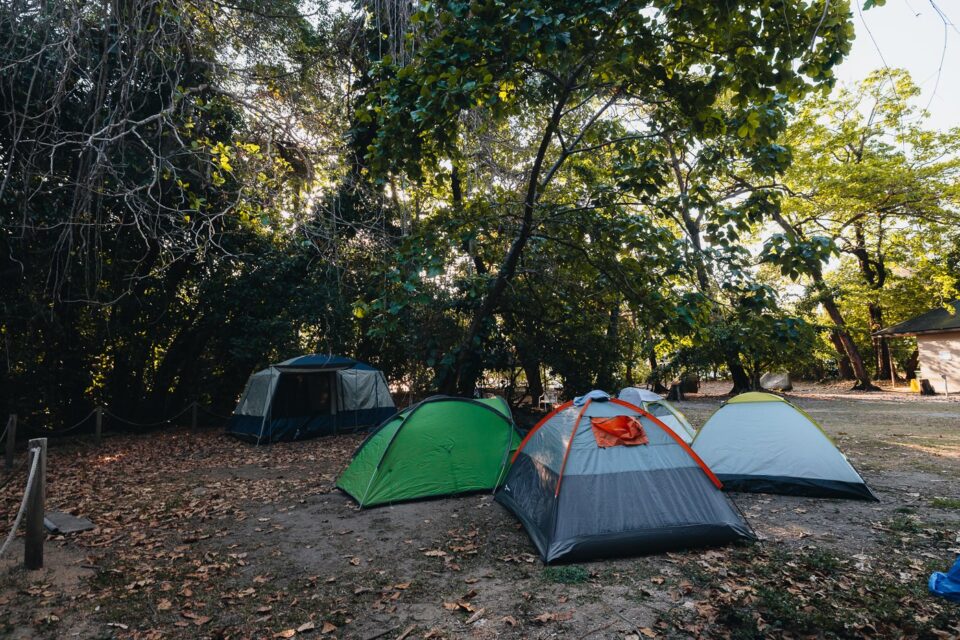 How to Get to Fitzroy Island from Cairns by Ferry or Day Trip