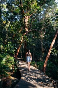 Fitzroy Island Hike: Fitzroy Summit Track near Cairns