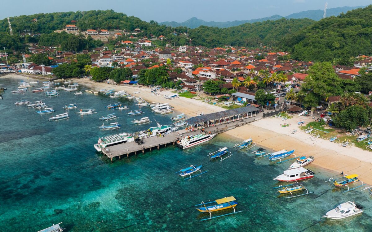 Snorkeling With Whale Sharks at Saleh Bay, Sumbawa